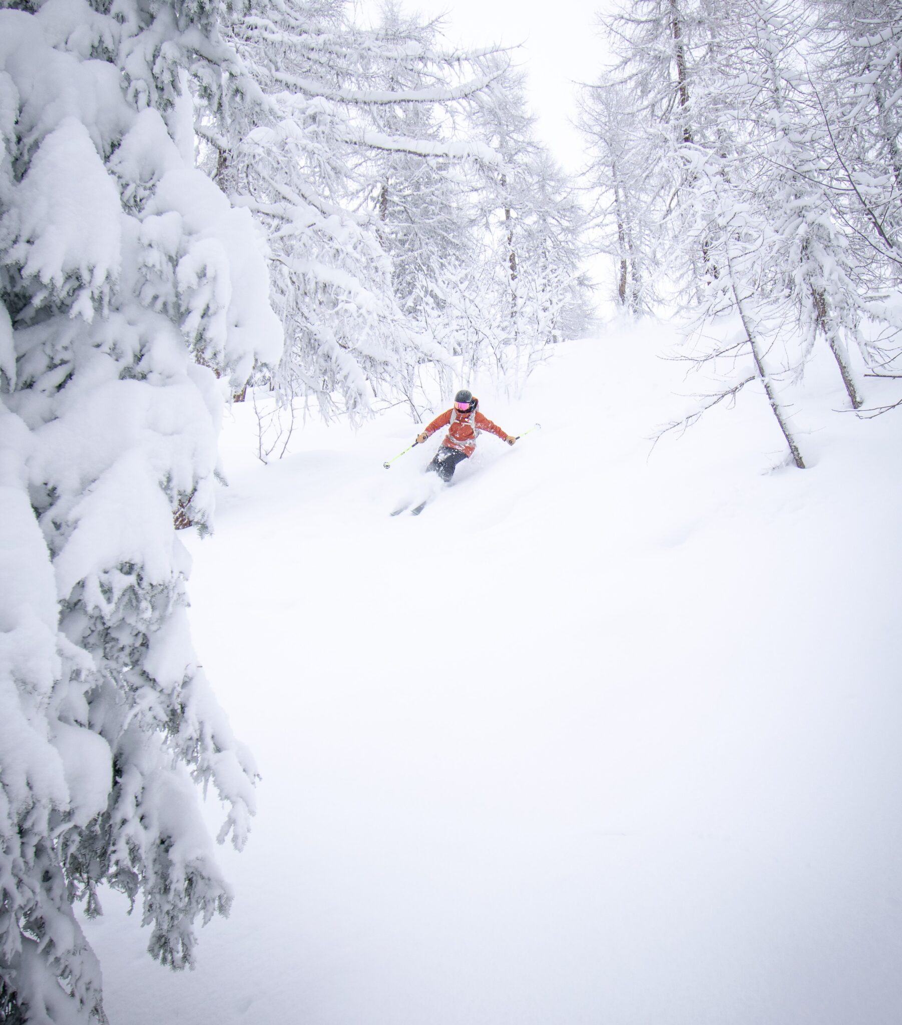 Heli Skiing Colorado - Heli Skier