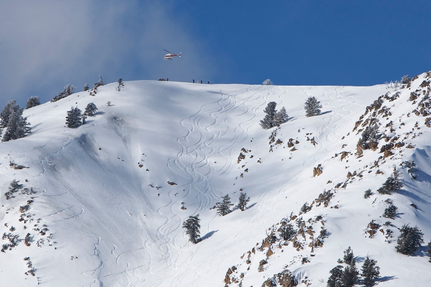 Heliski Utah - Heli Skier